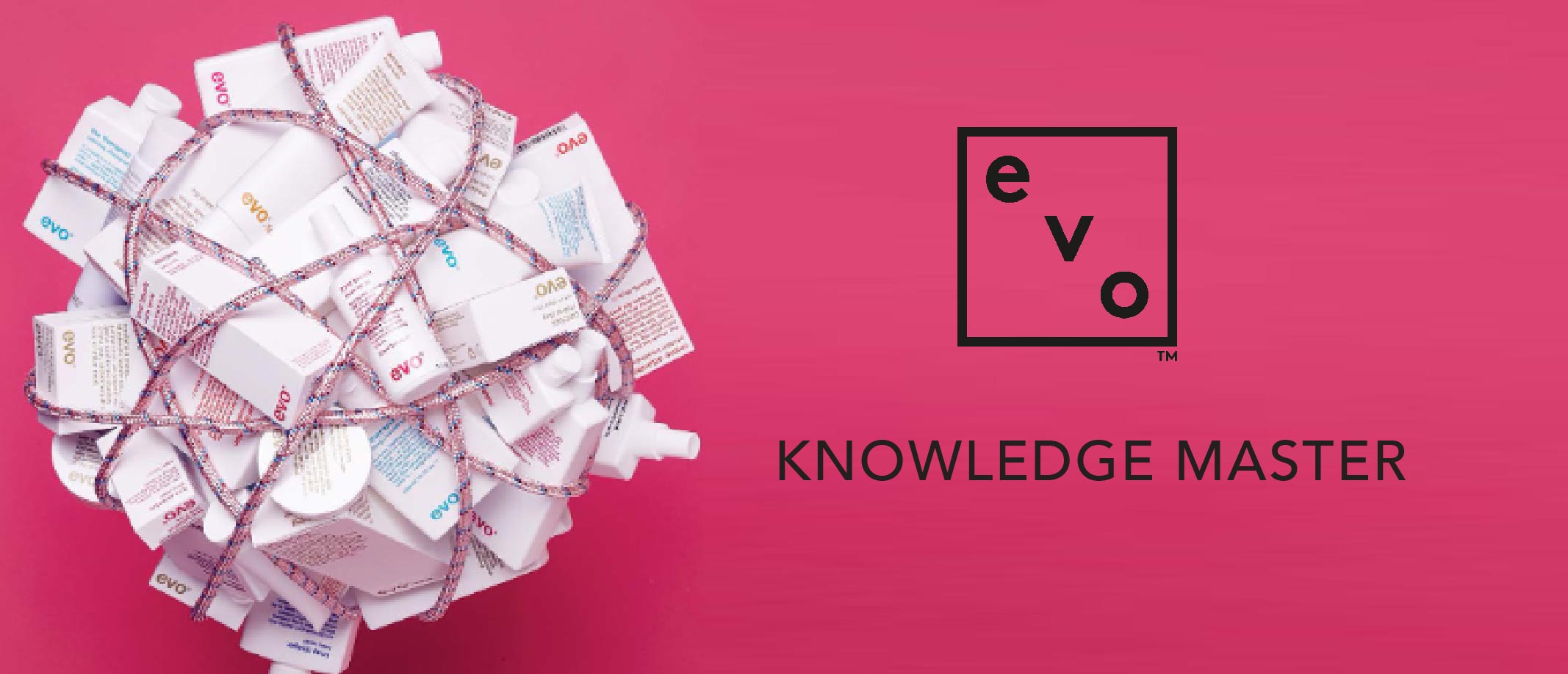 Evo: Connaissance de produits / Knowledge Master + FabPro Staino